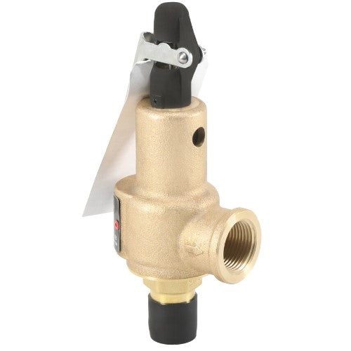 Kunkle 1-1/4" x 1-1/4" 6010FFV01AKM Air/Gas Safety Relief Valve ...